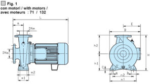 Centrifugal Pump MARELLI AQUAFIT - บริษัท ย่งฮง (ประเทศไทย) จำกัด