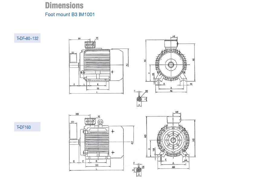 MOTOR BROOK CROMPTON T Series - บริษัท ย่งฮง (ประเทศไทย) จำกัด